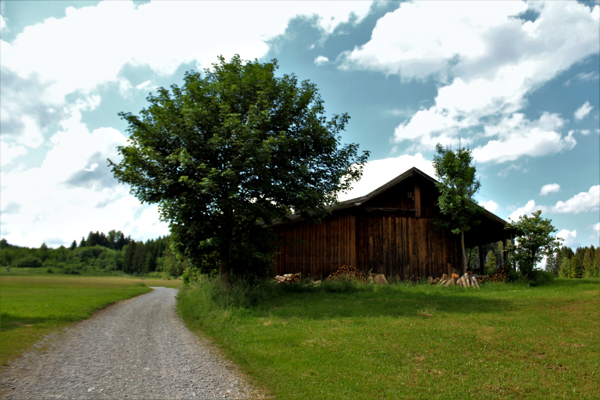 Unterwegs mit Kindern | Der Elbsee Rundwanderweg bei Aitrang (Alläu ...