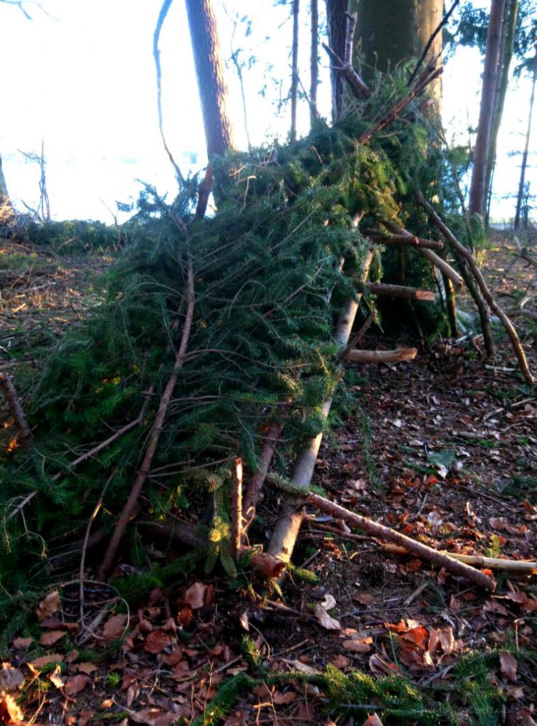 Hütte und Versteck im Wald selber bauen aus Ästen und Zweigen mit ...